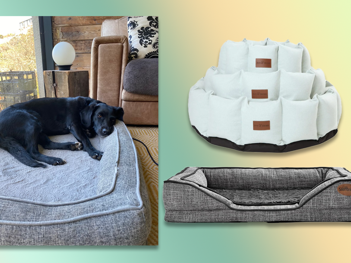 Like Furniture Dog Beds NELKE Exclusive Dog Bed In Glamour Style Dog