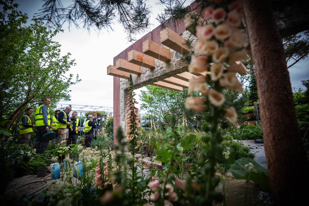 Defra identifies five key plant types to help make gardens ‘flood-ready ...