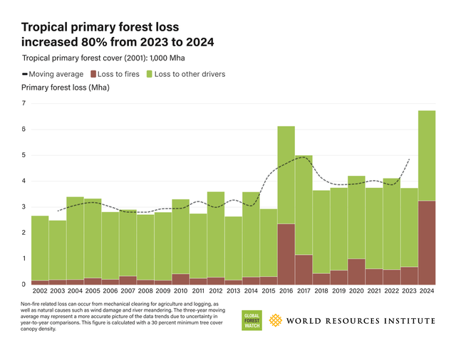 ‘Global red alert’: Wildfires drive record forest loss in 2024 ...