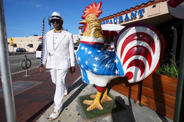 Wild chickens face turf war with bad-tempered peacocks after taking ...