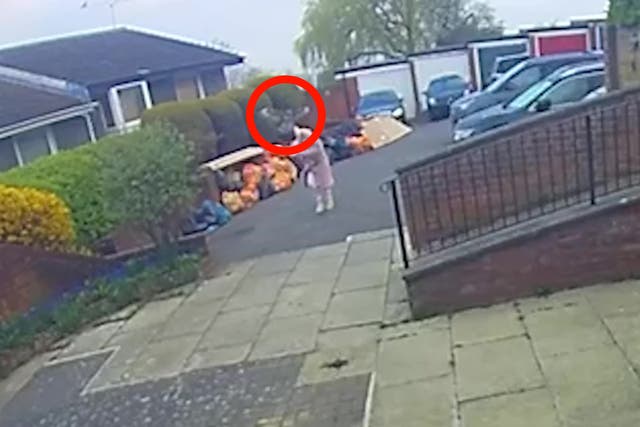 School forced to ban children from playground as dive-bombing buzzard ...