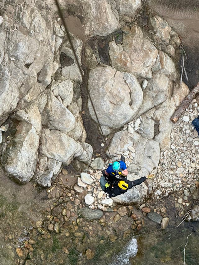 High school student airlifted to safety after rattlesnake bite on ...