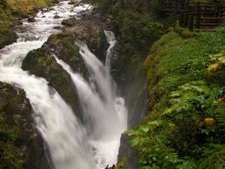 Teenager slips on rocks near 50-foot waterfall and falls to his death at Olympic National Park ...