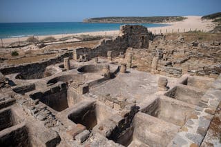 Ancient Romans frequently snacked on fried songbird, bone remains ...