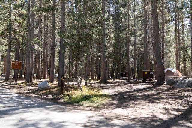 World famous national park is opening all of its campgrounds for the ...