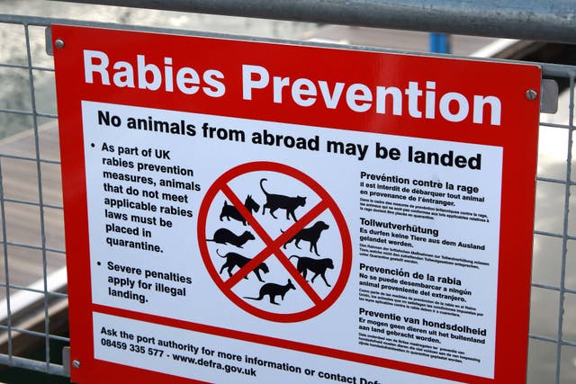 Rabies: What you need to know about the disease before going abroad ...