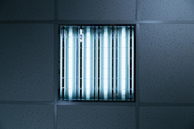 <p>A new solar cell developed in Taiwan can harvest energy from indoor lights like fluorescent bulbs</p>