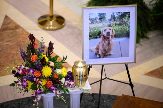 Killed Minnesota lawmaker Melissa Hortman’s beloved dog, Gilbert, lays ...