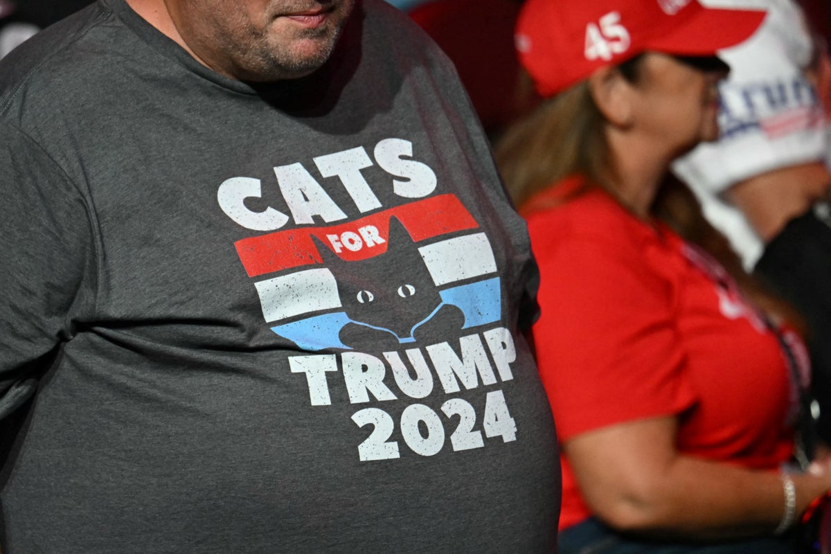 Tariffs got claws: Cost of cat food set to skyrocket under Trump’s ...
