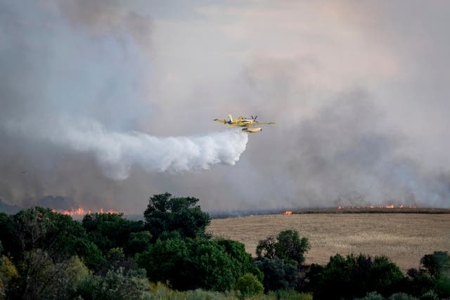 Giant cloud of smoke seen over Madrid as wildfires rage in Spain | The ...