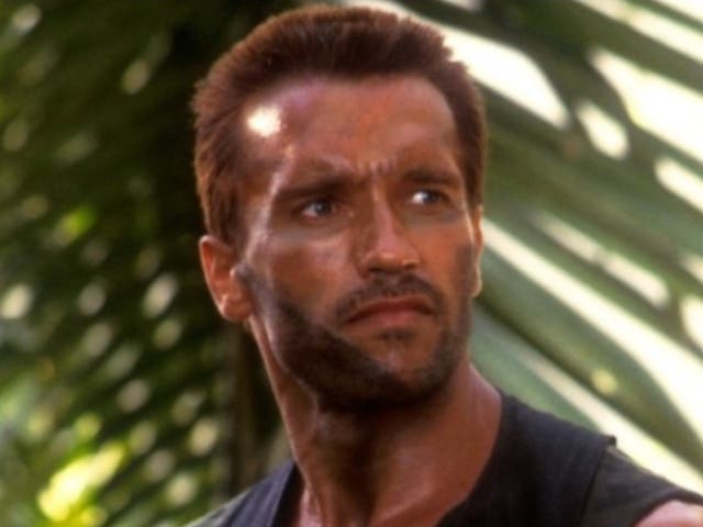 Predator director reveals Arnold Schwarzenegger has returned to movie ...