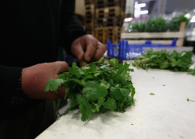 The herb linked to reduced inflammation, lower anxiety, and reduced ...