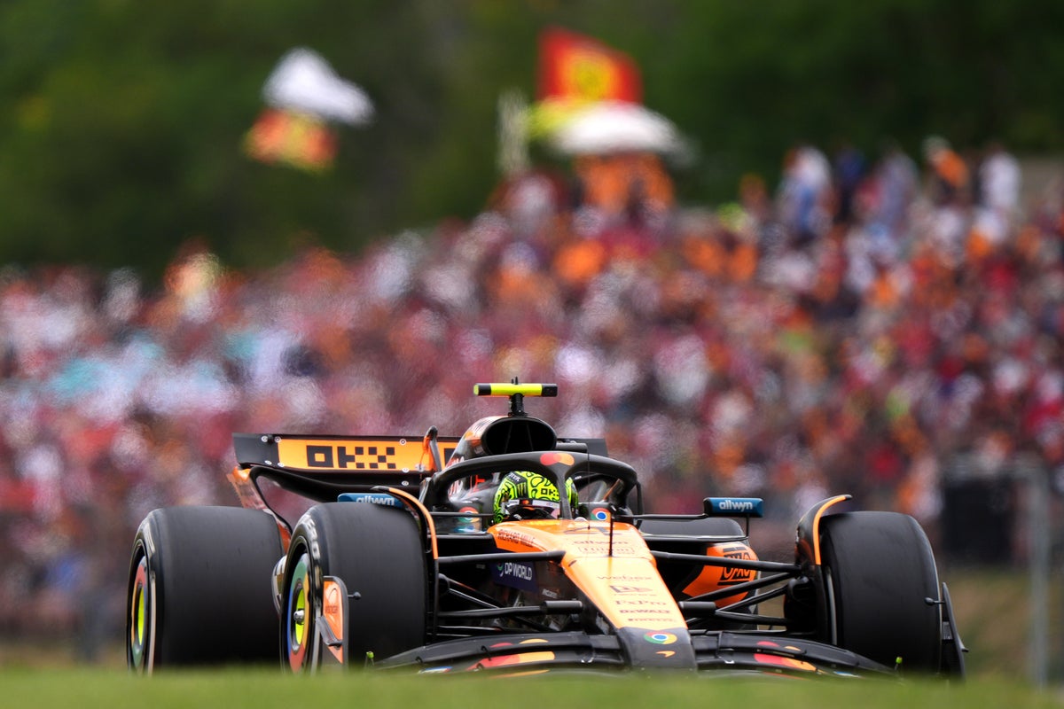 Dutch Grand Prix best bets & Formula 1 prediction | The Independent