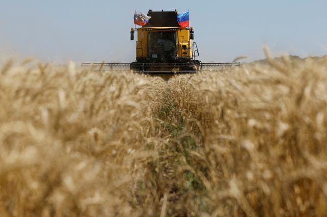 Russia to sell crops from occupied areas of Ukraine | The Independent