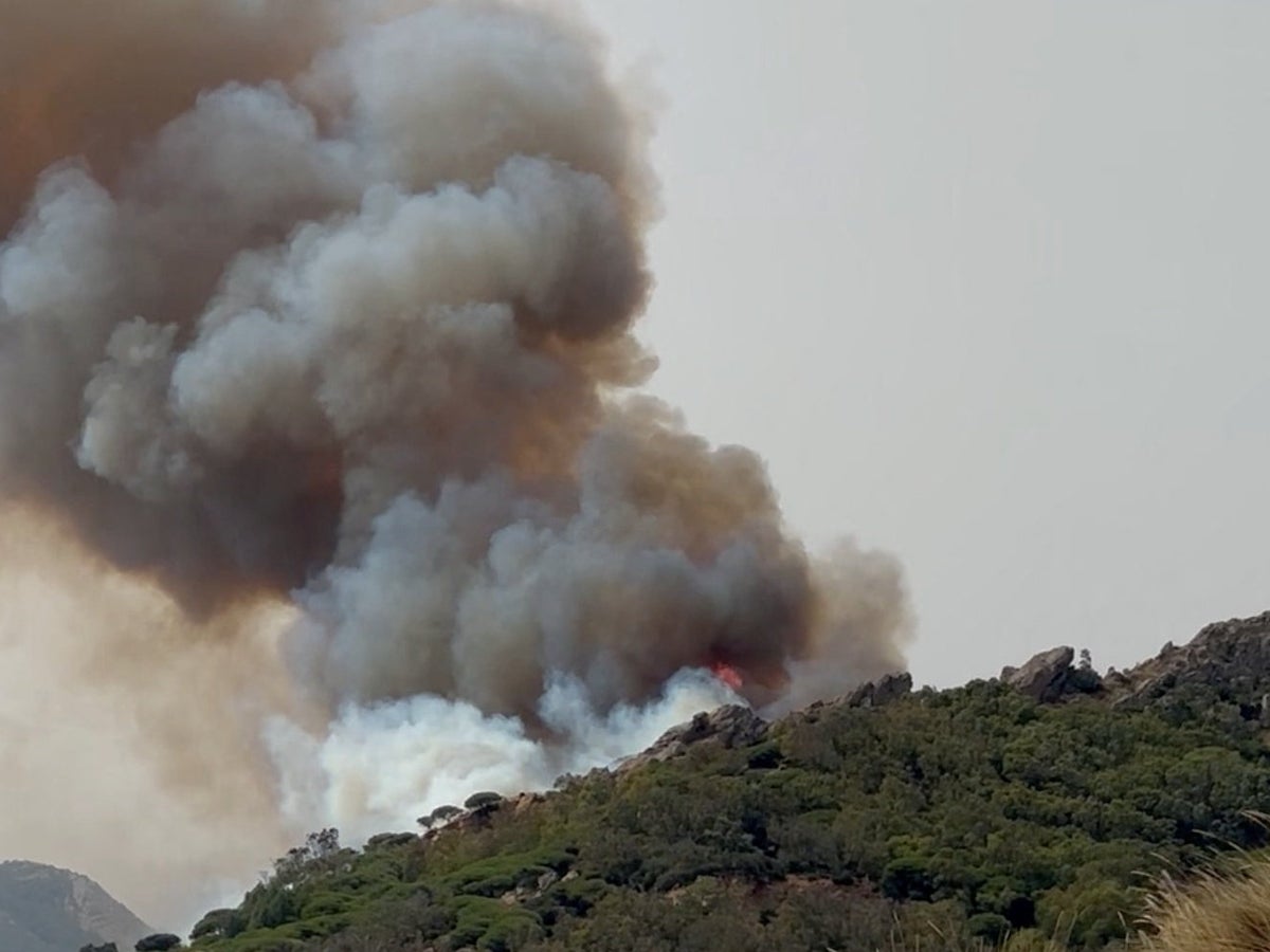 wildfire malaga