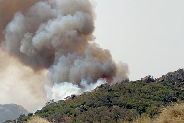 Mapped: Wildfires in France and Spain as huge blazes break out in 40C ...
