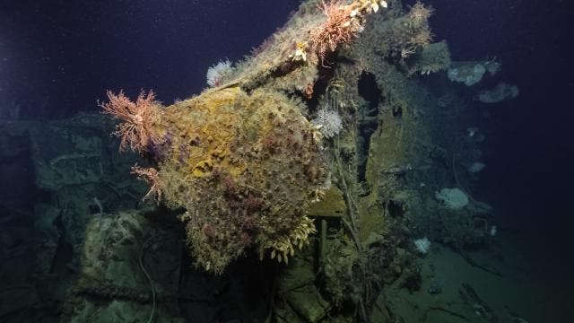 New ocean expedition captures images of 13 WWII shipwrecks from major ...