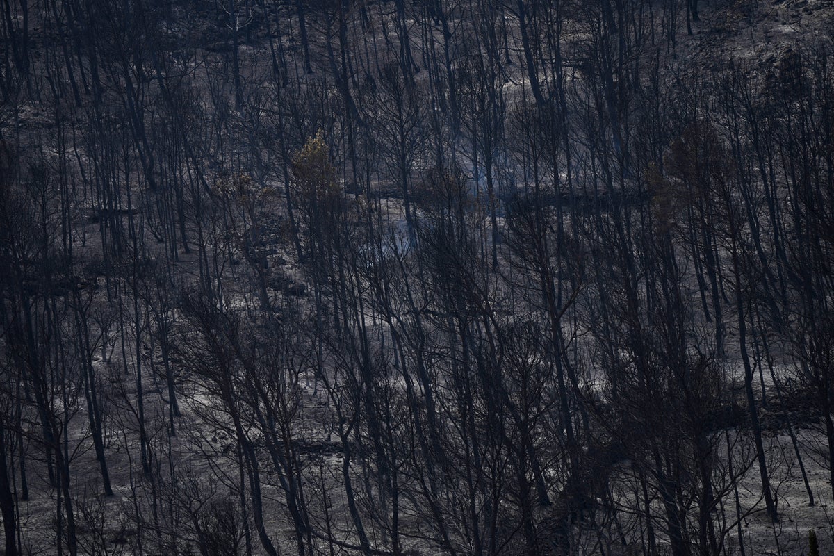 Firefighters battle to prevent reignition of France’s largest wildfire ...