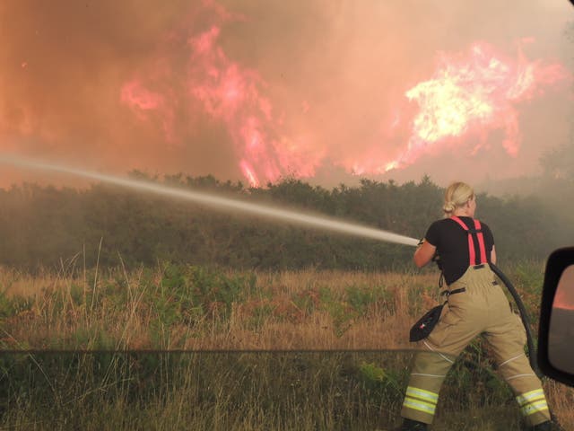 Major incident declared as huge fire rages on Dorset heath | The ...