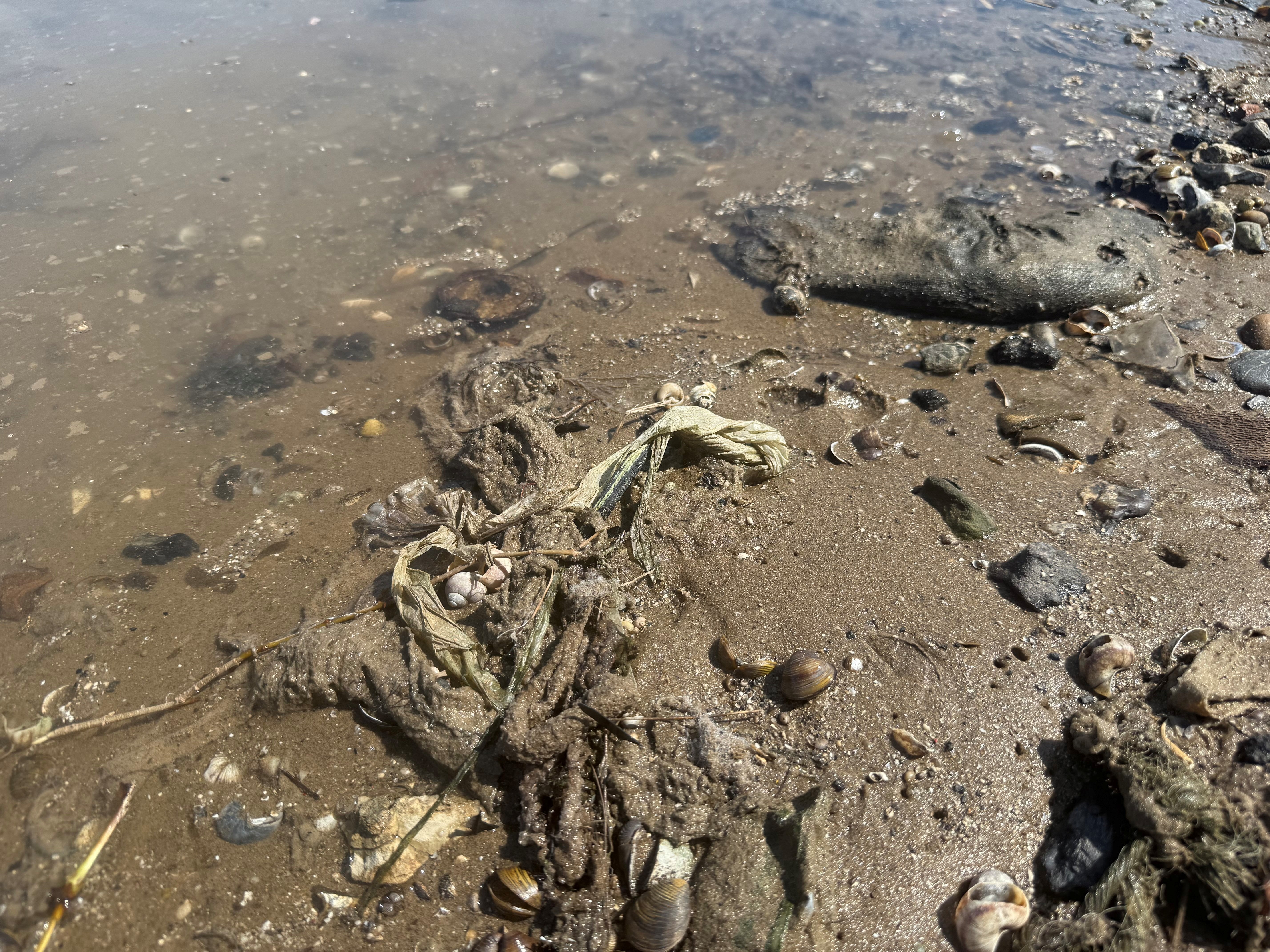 Footage shows diggers removing ‘disgusting’ island of wet wipes from ...