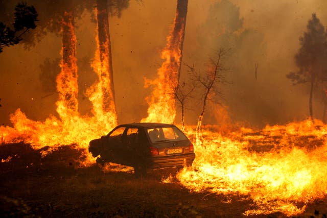 Raging wildfires close section of Spain’s world-famous walking route ...