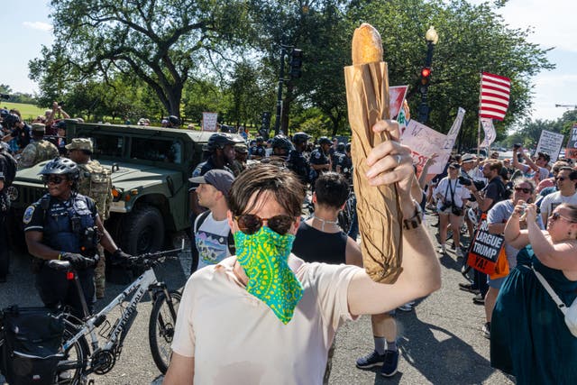 Federal agents arrested a protester for throwing a sandwich at them ...