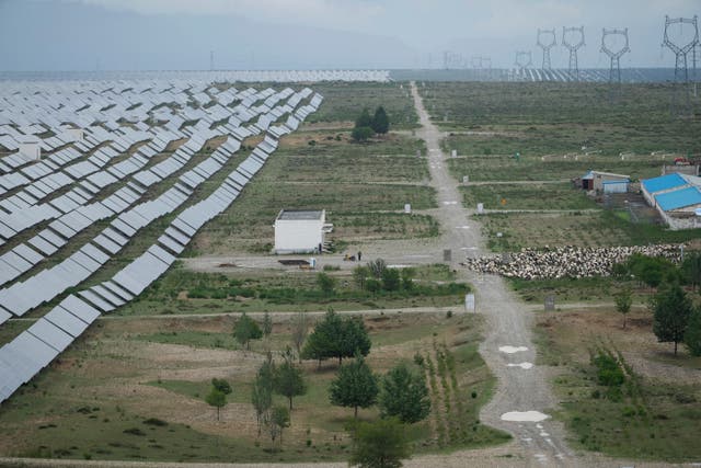 China races to build world’s largest solar farm to meet emission ...