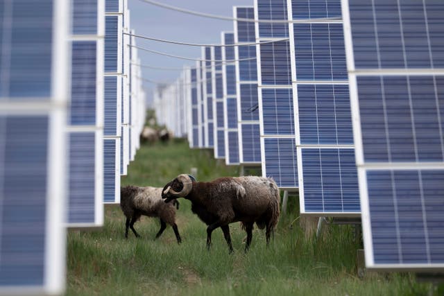 China races to build world’s largest solar farm to meet emission ...