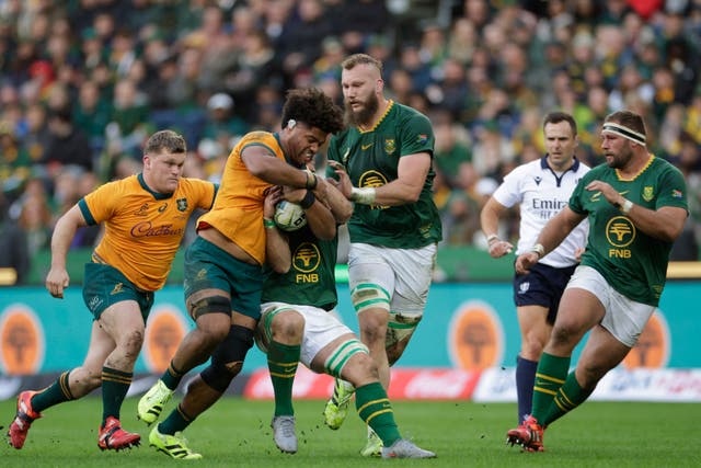 South Africa vs Australia live: Result and reaction as Springboks hit back to revive Rugby ...