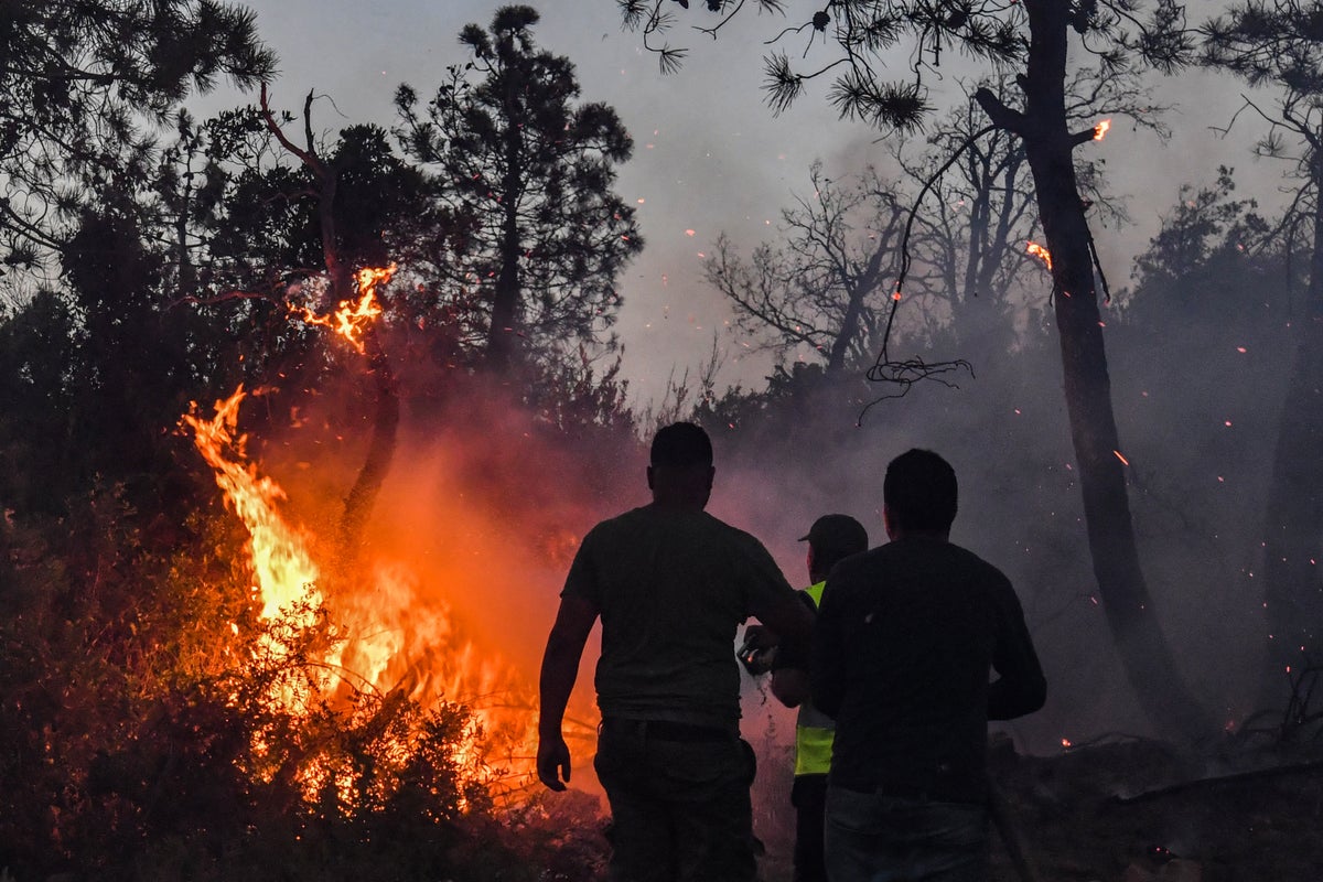 What is a ‘super El Niño’? Scientists predict record-breaking climate ...