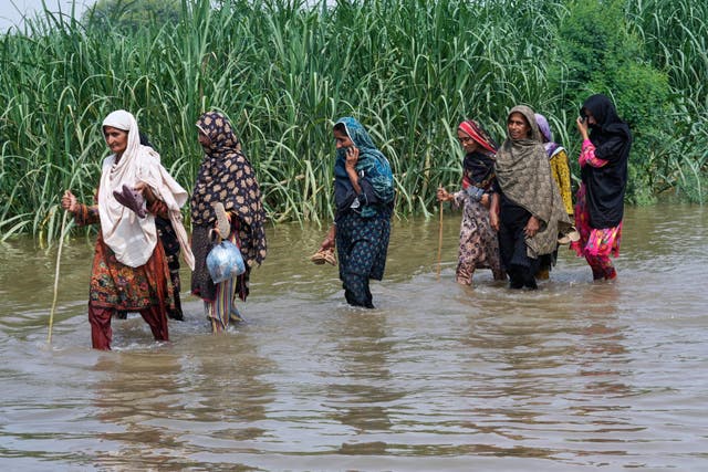 Half a million people forced to flee homes after flooding in Pakistan’s ...