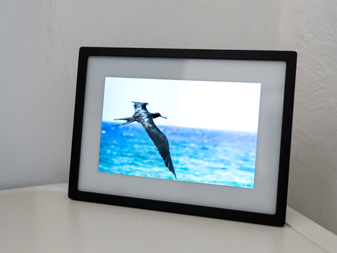 Best digital photo frames for 2026, tried and tested | The Independent