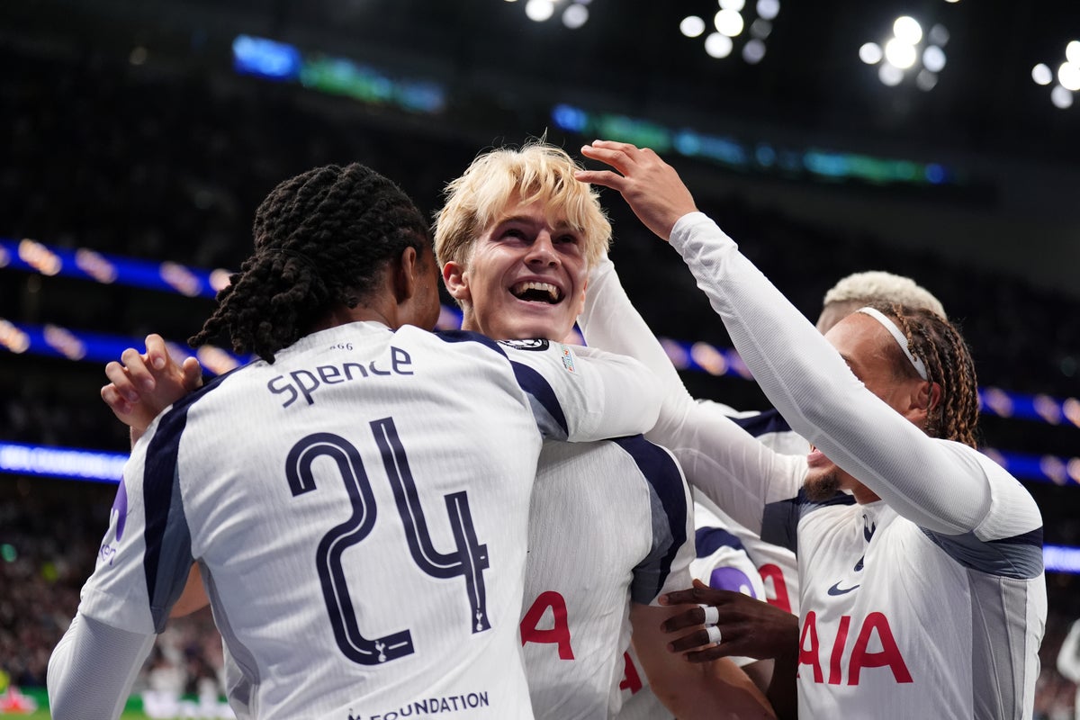 Bizarre own goal seals Champions League win for Spurs | The Independent