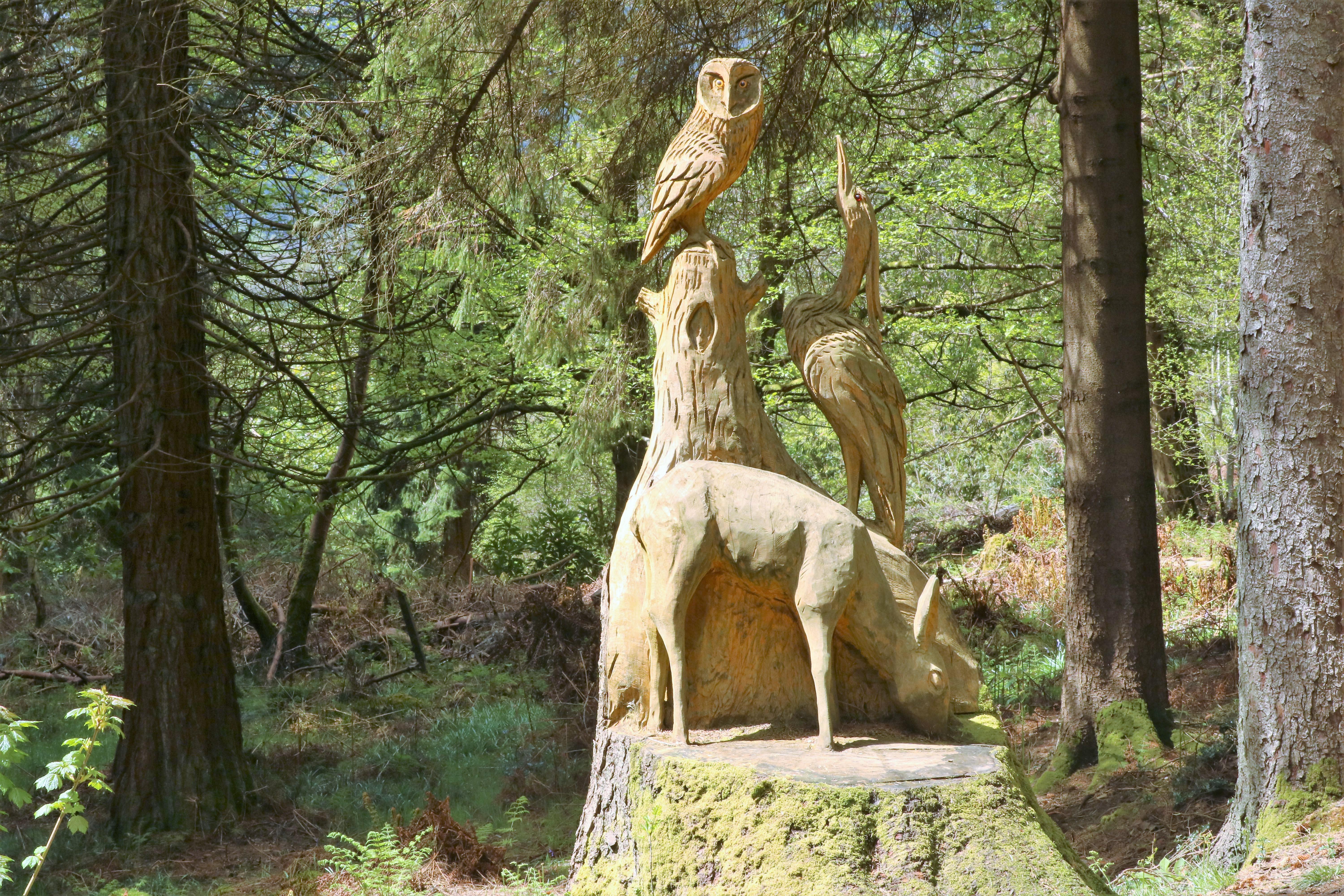 11 top arboretums to visit this autumn