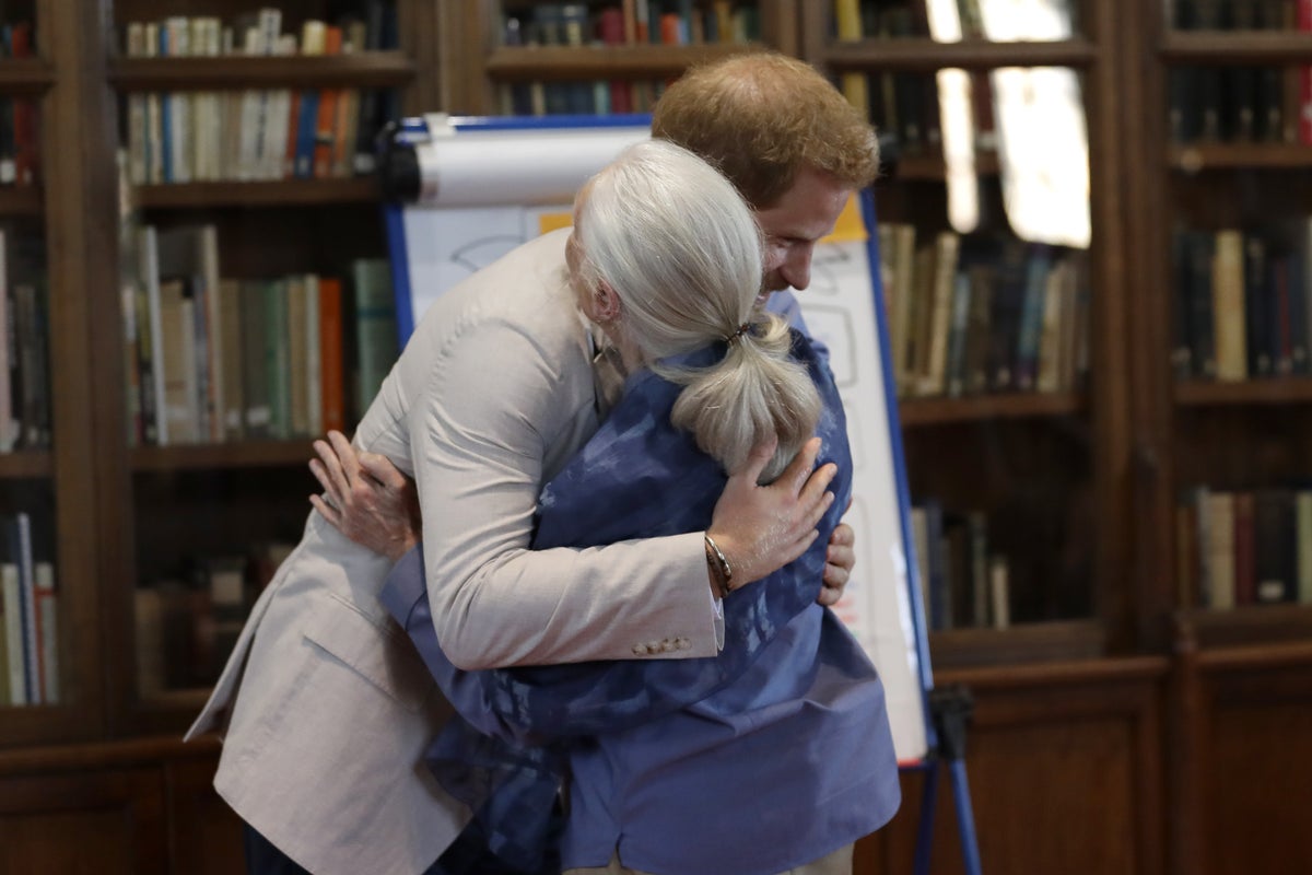 Jane Goodall and Prince Harry share ‘chimpanzee greeting’ in 2019 video ...