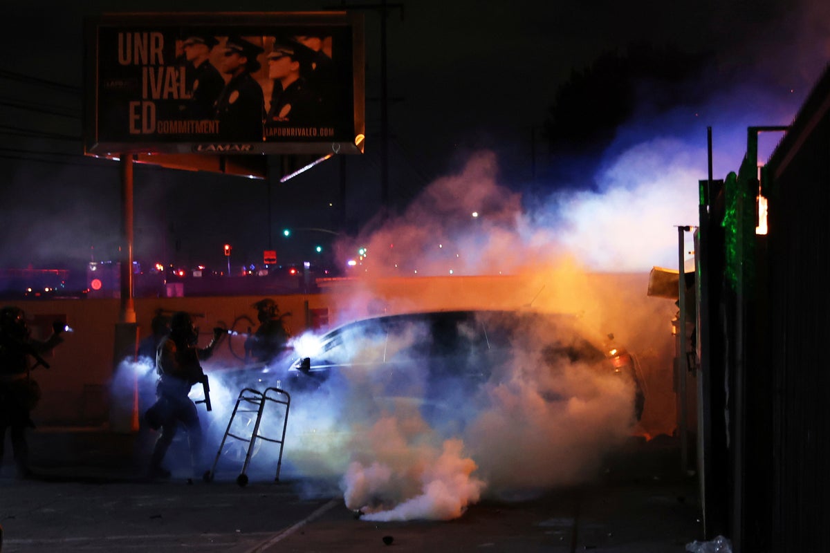 Man pleads guilty to throwing Molotov cocktail at deputies during LA ...