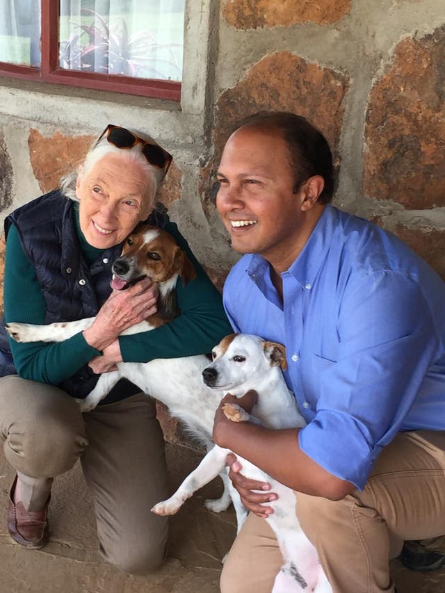 Jane Goodall by those closest to her: ‘She was a much more complex ...