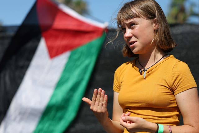 The end of innocence: Greta Thunberg came of age – and people hate her ...