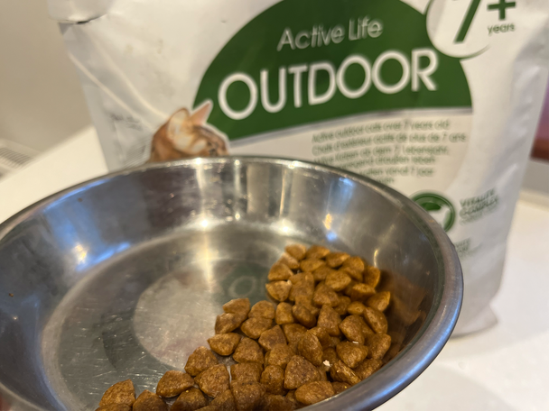 Best cat foods 2025, reviewed by pet owners | The Independent
