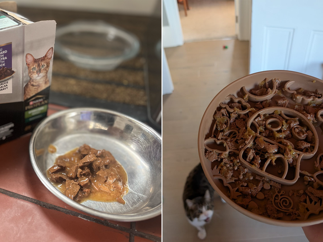 Best cat foods 2025, reviewed by pet owners | The Independent