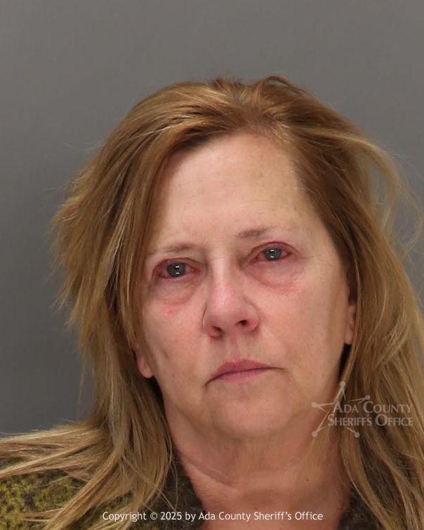 Passenger, 61, accused of attacking flight crew that…