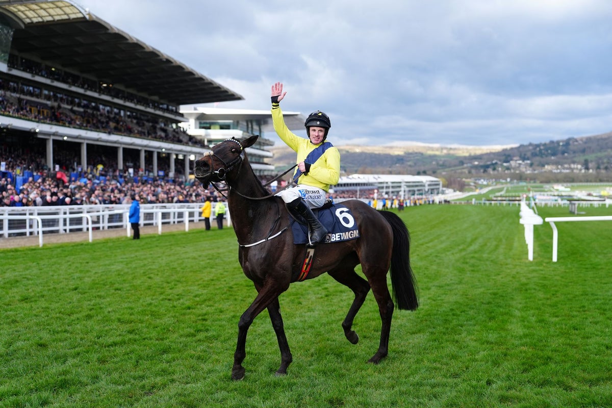 Cheltenham & Doncaster | Best Bets for Saturday Racing | The Independent