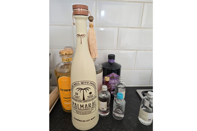 Best gins in 2026, taste-tested by a drinks expert | The Independent