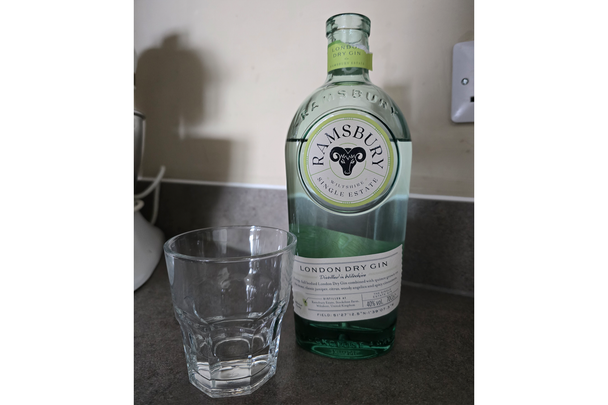 Best gins in 2026, taste-tested by a drinks expert | The Independent