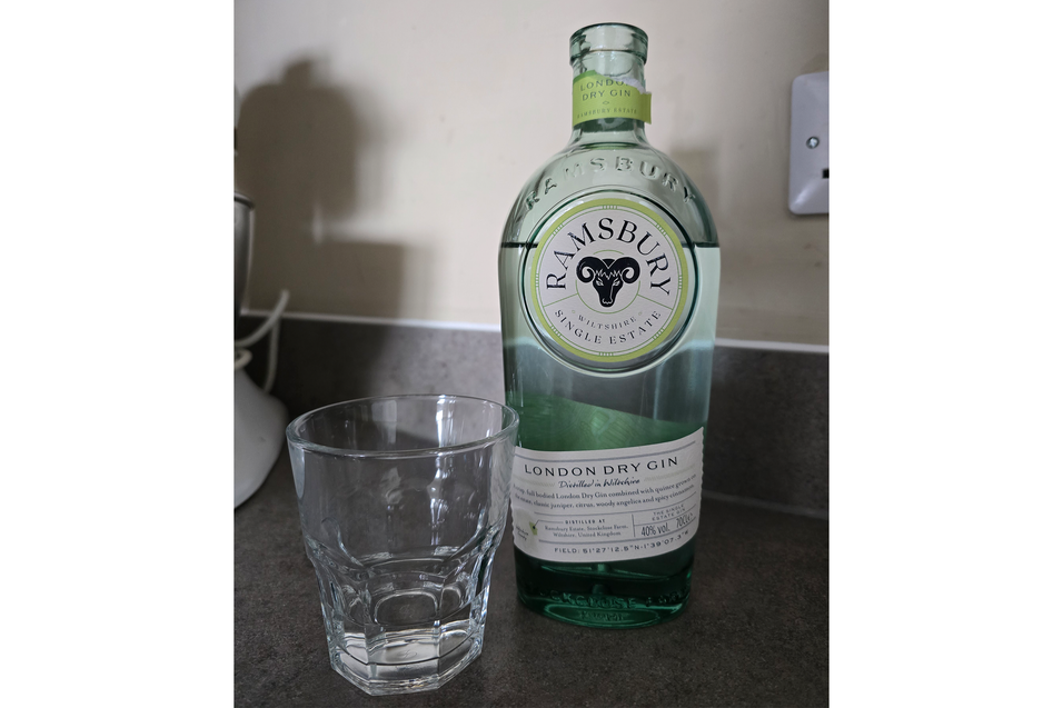 Best gins in 2026, taste-tested by a drinks expert | The Independent