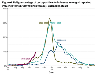 Flu season 2025 could be the UK’s ‘worst in decades’, experts warn ...