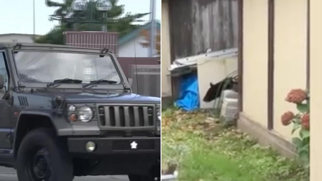 Japan battles surge of bear attacks in homes, schools and supermarkets ...