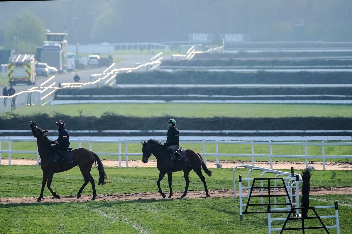 Saturday Racing Tips: Wincanton, Doncaster & Aintree | The Independent