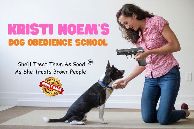 Newsom ruthlessly trolls Kristi Noem with ‘dog obedience school’ meme ...