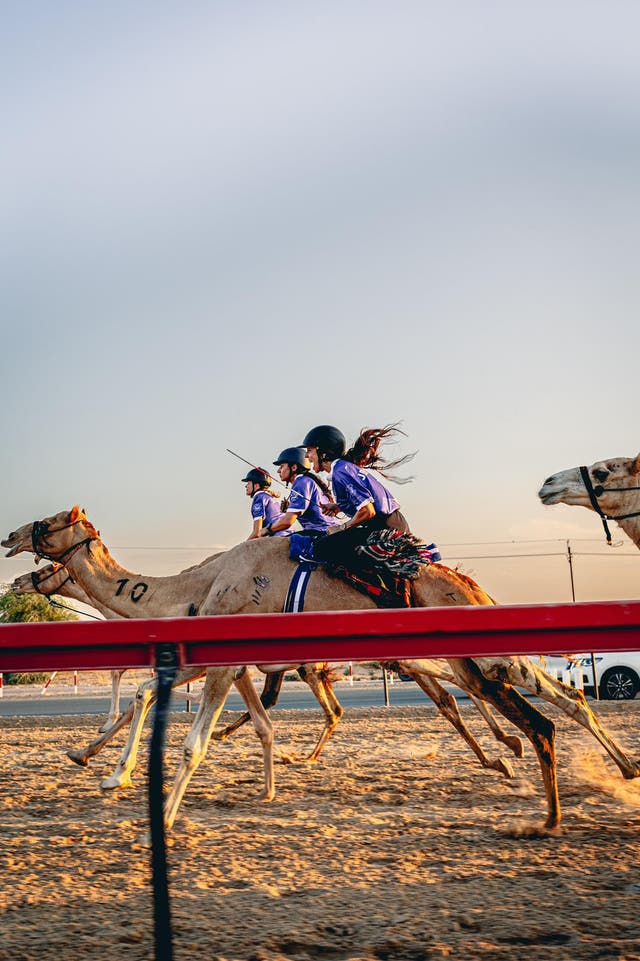 ‘I became a pro camel rider at 40. Here’s why it should be an Olympic ...